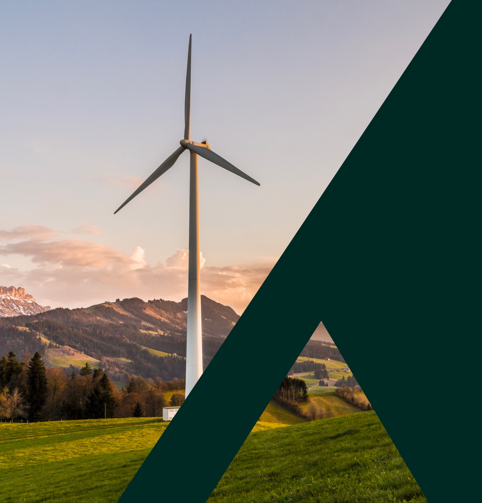 Carbon Reduction & Net Zero Consultants | Green Ibex